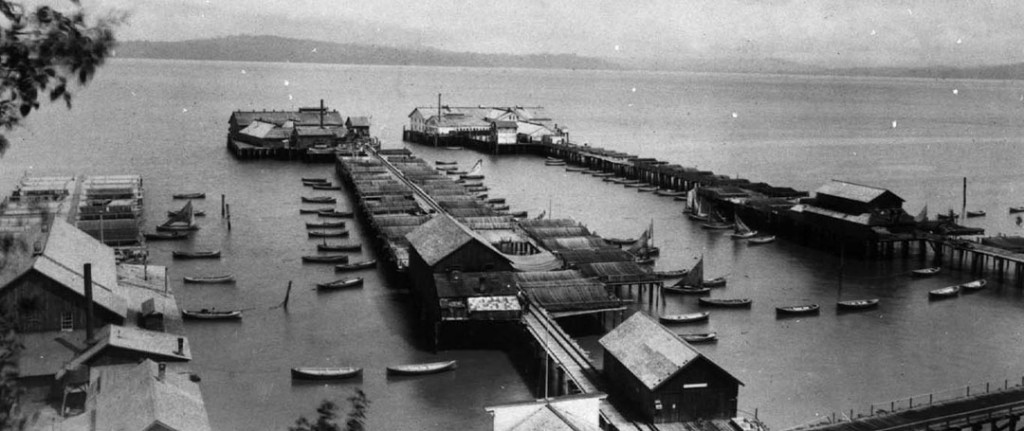 History | Hanthorn Cannery Foundation