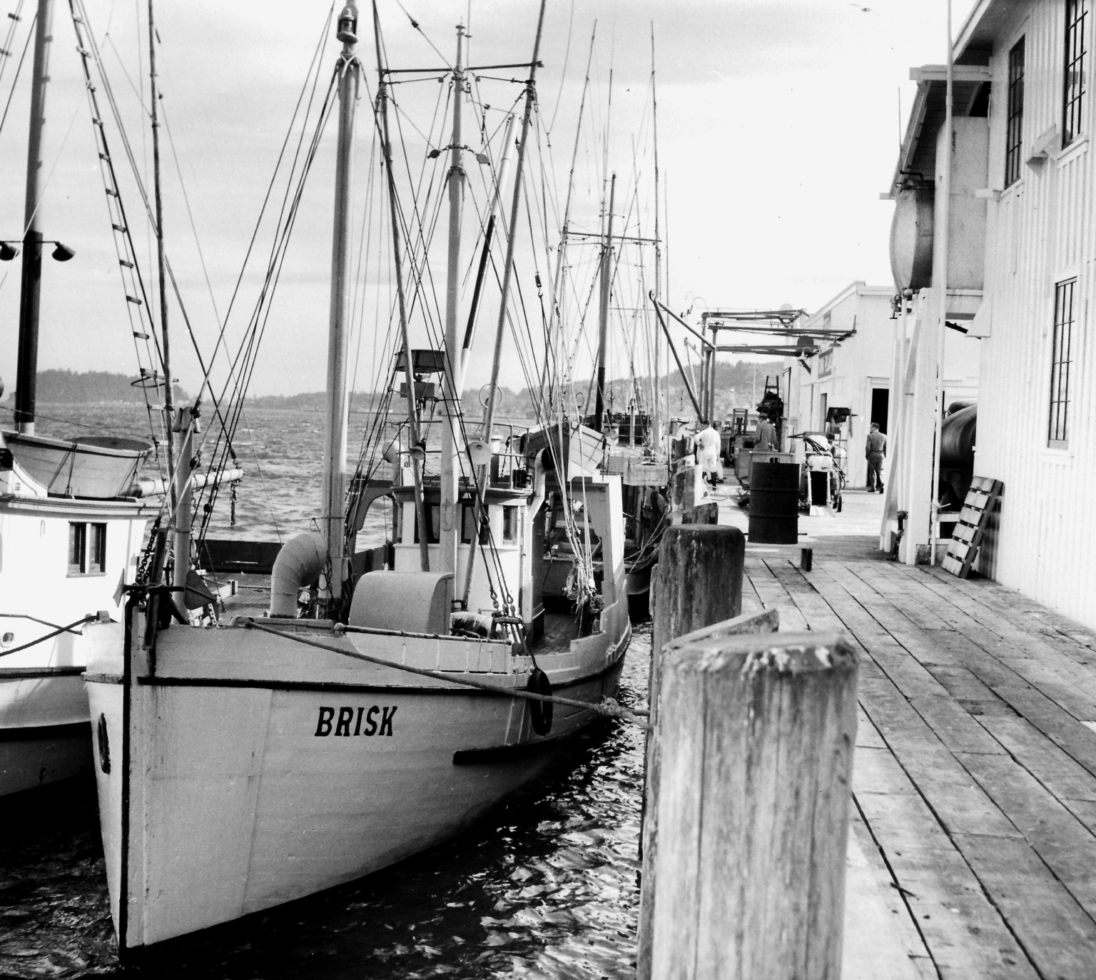 Hanthorn Cannery Museum & Foundation | Preserving Cannery History ...